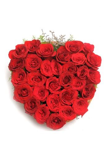 Love Rose Flower Images | Best Flower Site