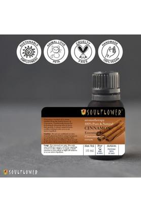 Buy SOULFLOWER Cinnamon Essential Oil, 15 ml | Shoppers Stop